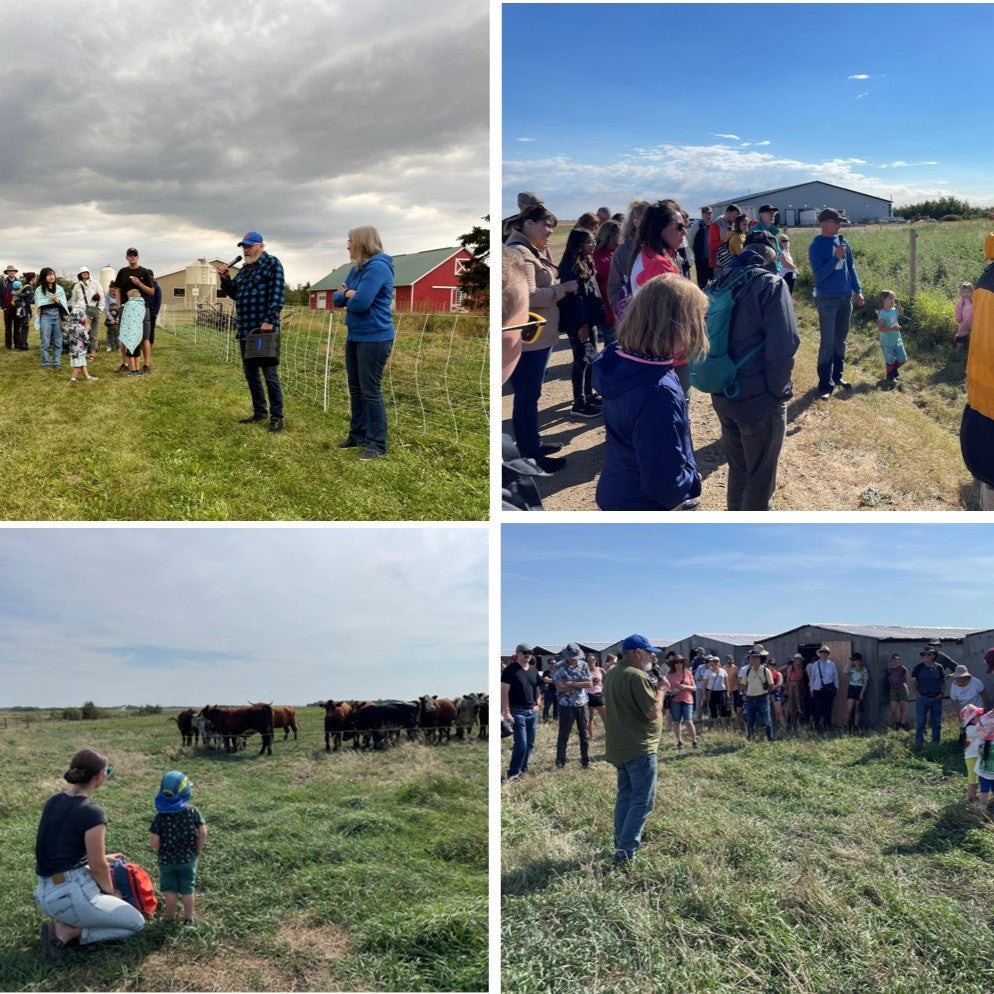 Sunworks Farm | Local Organic Ethical Meat Products