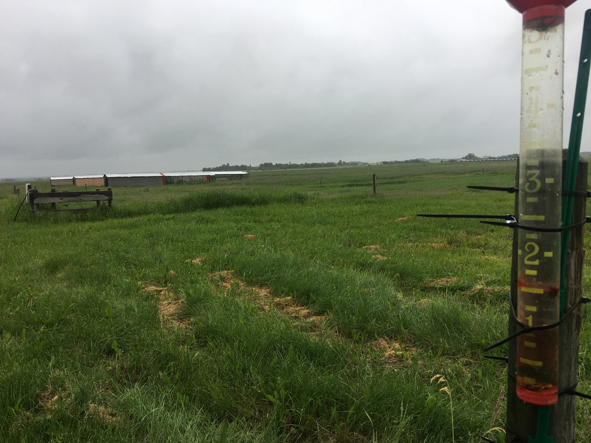 Farming Is About Adapting To The Weather – Sunworks Farm