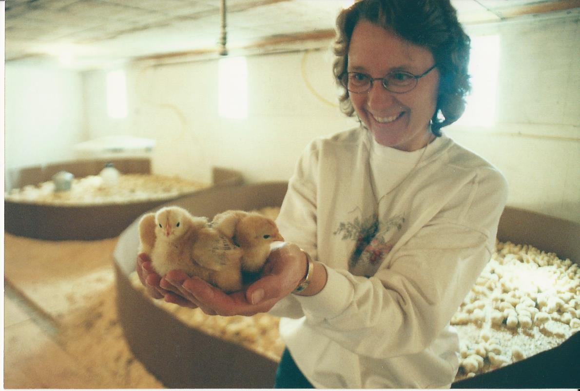 30 Years of Farming – Sunworks Farm