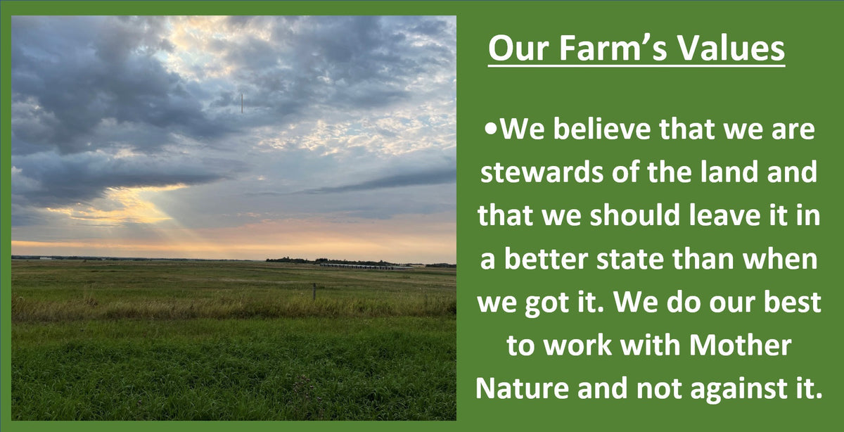 Values Based Food and Agriculture. – Sunworks Farm